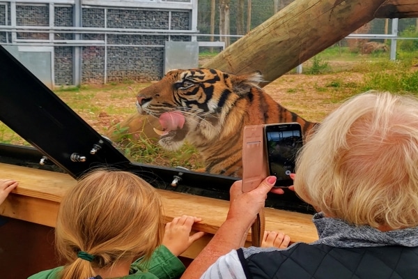 Twycross Zoo - Vextrix